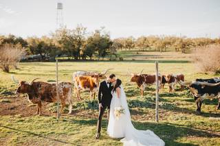 The Addison Grove - Reviews, Photos & Deals 2026 - Austin, TX - WeddingWire