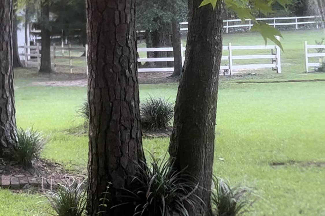 Field Estate - Reviews, Photos & Deals 2026 - Tallahassee, FL - WeddingWire