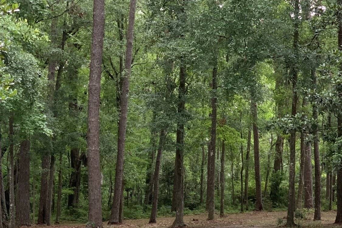 Field Estate - Reviews, Photos & Deals 2026 - Tallahassee, FL - WeddingWire