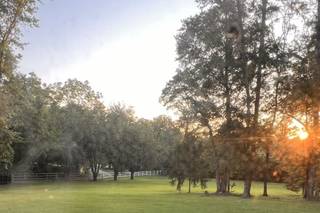 Field Estate - Reviews, Photos & Deals 2026 - Tallahassee, FL - WeddingWire